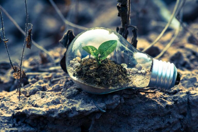 Growth Mindset Training: Examples and Tips